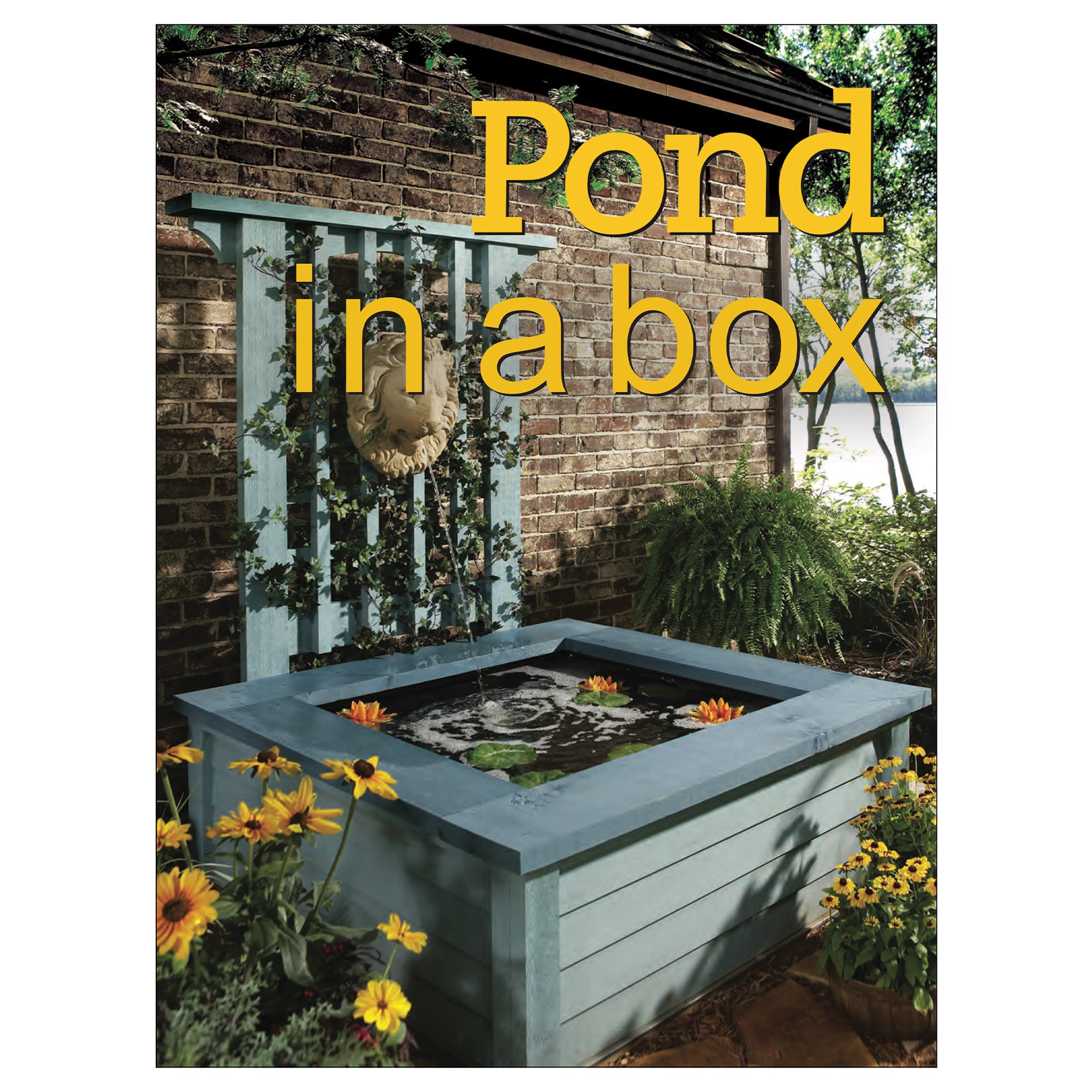 Above Ground Pond | Shop Family Handyman – Family Handyman Shop