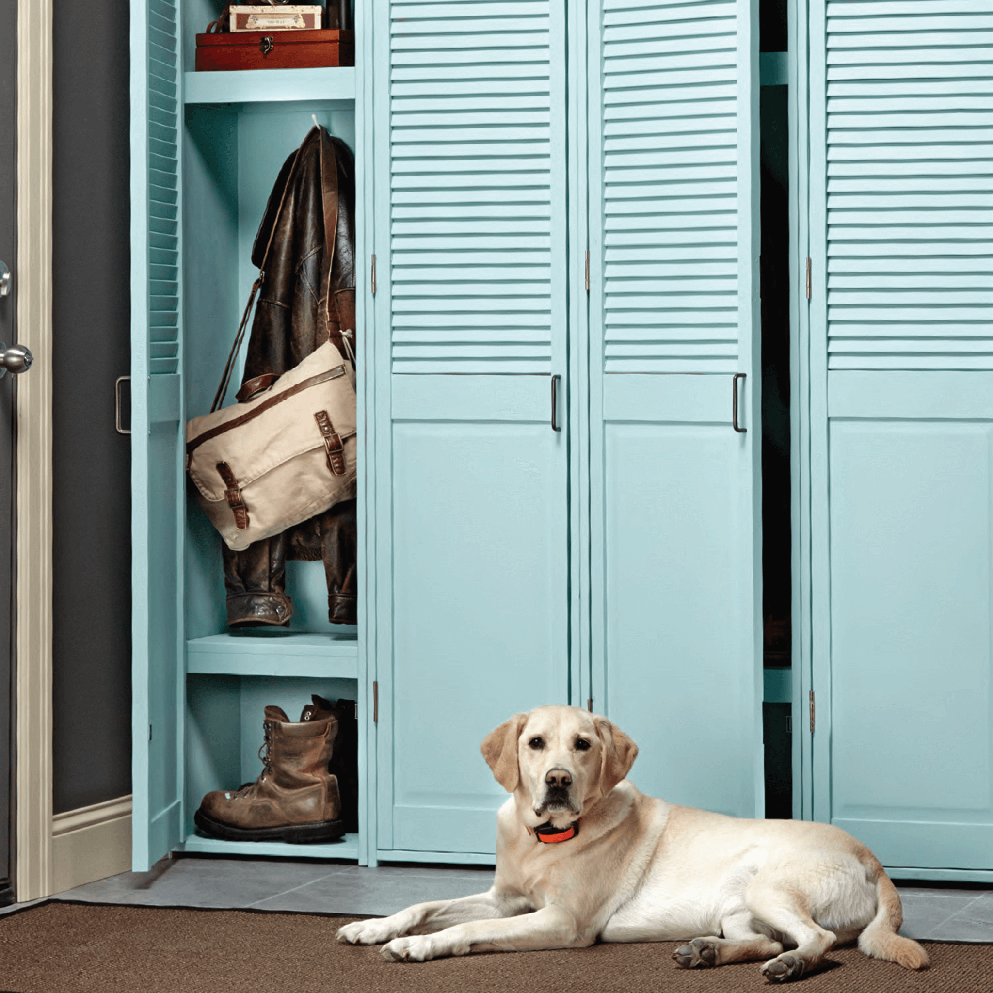 Entryway Cabinet Locker | Shop Family Handyman – Family Handyman Shop